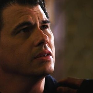 The Investigator - Rotten Tomatoes