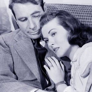 The Human Jungle - Rotten Tomatoes