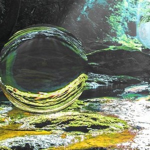 Speed of Life - Rotten Tomatoes