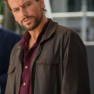 Harrow - Rotten Tomatoes