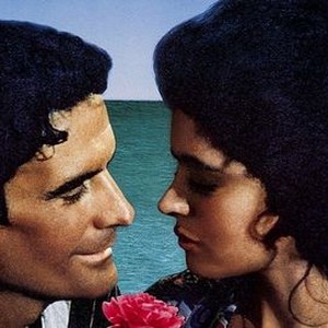 The Postman - Rotten Tomatoes