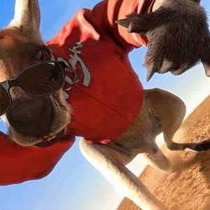 Kangaroo Jack - Rotten Tomatoes