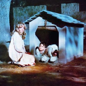 Jimmy Mathers - Rotten Tomatoes