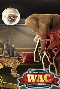 World Animal Championships | Rotten Tomatoes
