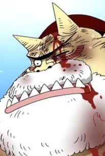 One Piece: Season 8, Episode 22 | Rotten Tomatoes