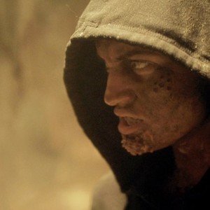 Elma Begovic - Rotten Tomatoes