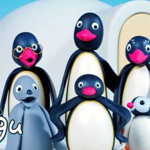 Pingu - Rotten Tomatoes