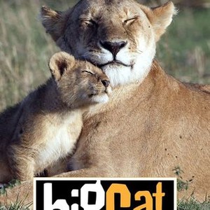 Big Cat Diary: Season 1, Episode 1 - Rotten Tomatoes