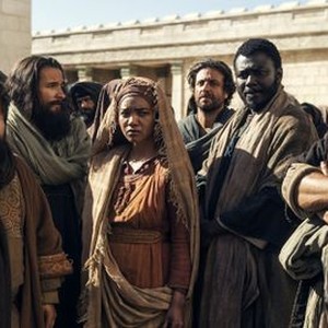 Kenneth Collard - Rotten Tomatoes