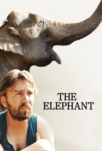 The Elephant | Rotten Tomatoes