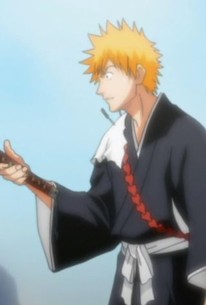 Bleach: Season 1, Episode 20 - Rotten Tomatoes