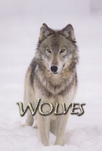 Wolves | Rotten Tomatoes
