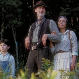 The Education of Little Tree - Rotten Tomatoes