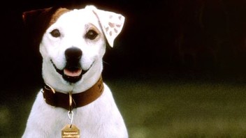 wishbone pbs documentary