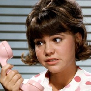 Gidget - Rotten Tomatoes