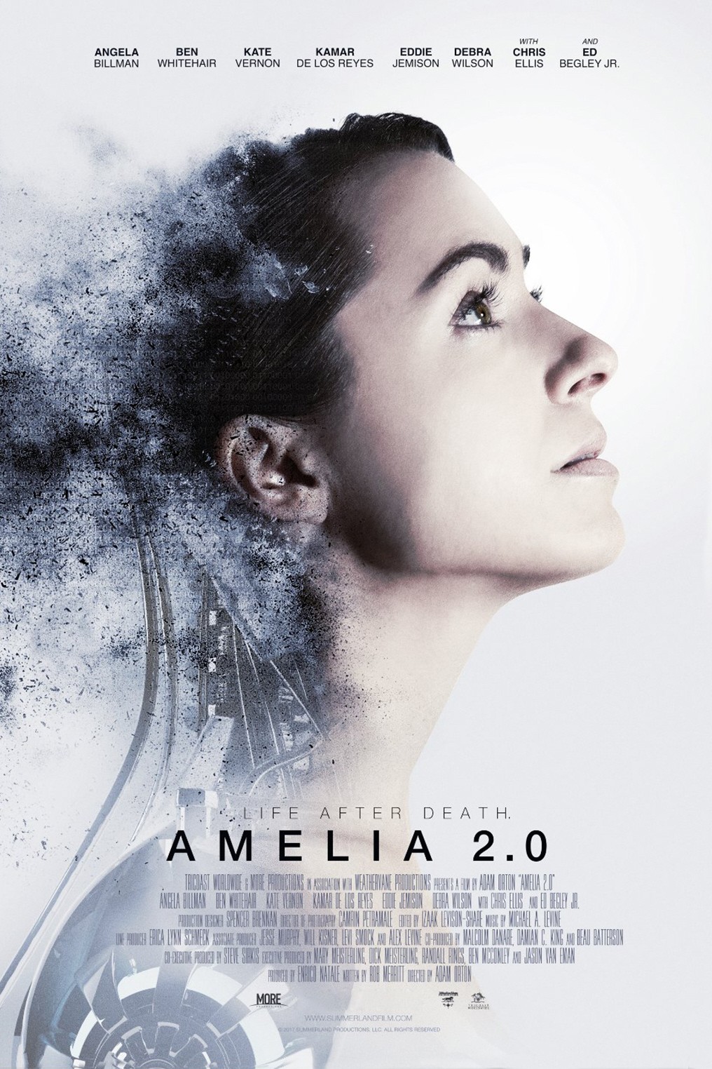 Amelia 2.0 | Rotten Tomatoes