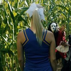 Fear PHarm - Rotten Tomatoes