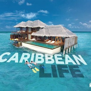 Caribbean Life: Season 18, Episode 10 - Rotten Tomatoes