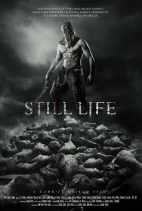 Still Life (2014) | Rotten Tomatoes