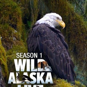 Wild Alaska Live - Rotten Tomatoes