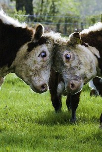 Secret Life of Farm Animals: Season 1, Episode 2 | Rotten Tomatoes