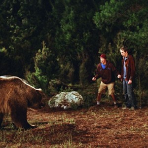 Without a Paddle - Rotten Tomatoes