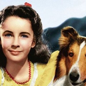 Courage of Lassie - Rotten Tomatoes