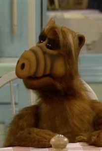 ALF: Season 2, Episode 10 | Rotten Tomatoes