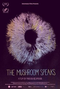 The Mushroom Speaks | Rotten Tomatoes