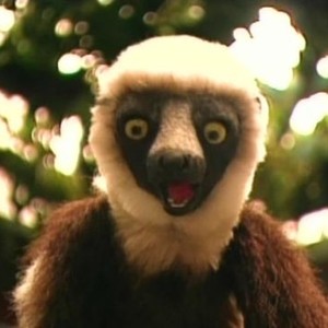 Zoboomafoo: Season 1, Episode 33 - Rotten Tomatoes
