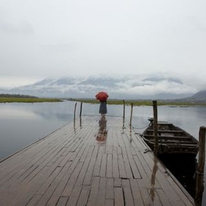 Notebook - Rotten Tomatoes