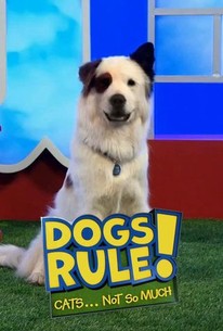 Dogs Rule! Cats... Not So Much | Rotten Tomatoes