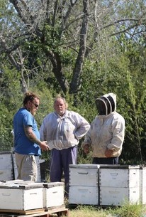 Bee Czar: Season 1, Episode 4 | Rotten Tomatoes