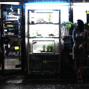 Cold Fish - Rotten Tomatoes