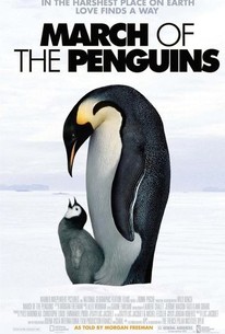 March of the Penguins | Rotten Tomatoes