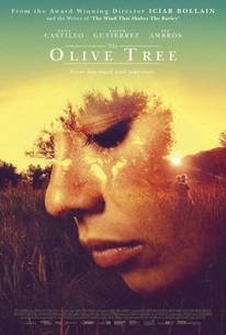 The Olive Tree | Audience Reviews | Rotten Tomatoes