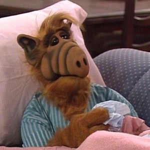 ALF: Season 4, Episode 12 - Rotten Tomatoes
