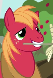 My Little Pony: Friendship Is Magic: Season 5, Episode 17 | Rotten Tomatoes