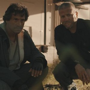 Testament - Rotten Tomatoes