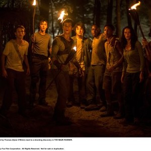 The Maze Runner - Rotten Tomatoes