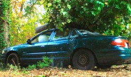 No Hard Feelings - Trailers & Videos | Rotten Tomatoes