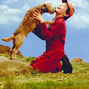 Good Boy! - Rotten Tomatoes