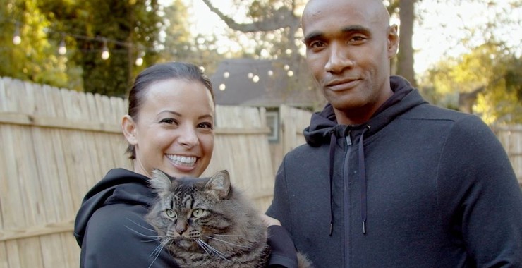 Cat Daddies - Rotten Tomatoes