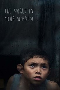 The World in Your Window | Rotten Tomatoes