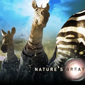 Nature's Great Events - Rotten Tomatoes