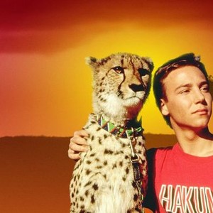 Cheetah - Rotten Tomatoes