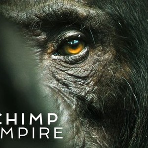 Chimp Empire - Rotten Tomatoes