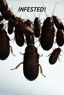 Infested!: Season 2, Episode 12 | Rotten Tomatoes