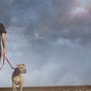 Dog: Impossible - Rotten Tomatoes