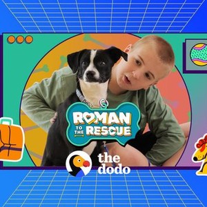 Roman to the Rescue - Rotten Tomatoes
